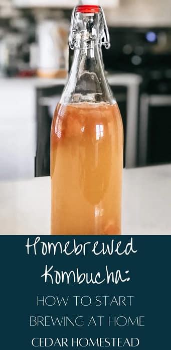 Home Brewed Kombucha: How to Make Kombucha - Cedar Homestead