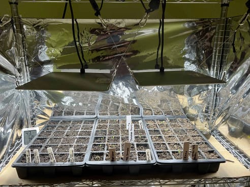 Indoor Seed Starting: DIY - How to Build a Seed Starting Rack - Cedar ...