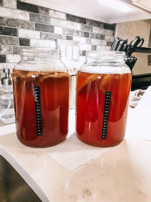 Home Brewed Kombucha: How to Make Kombucha - Cedar Homestead