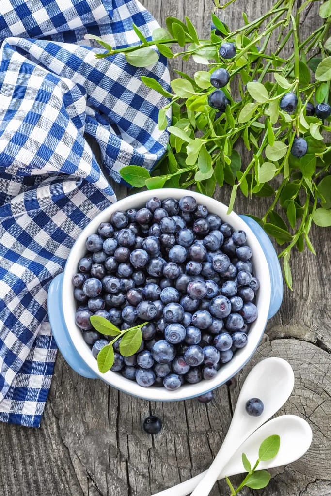 How to Pick Blueberries - Cedar Homestead