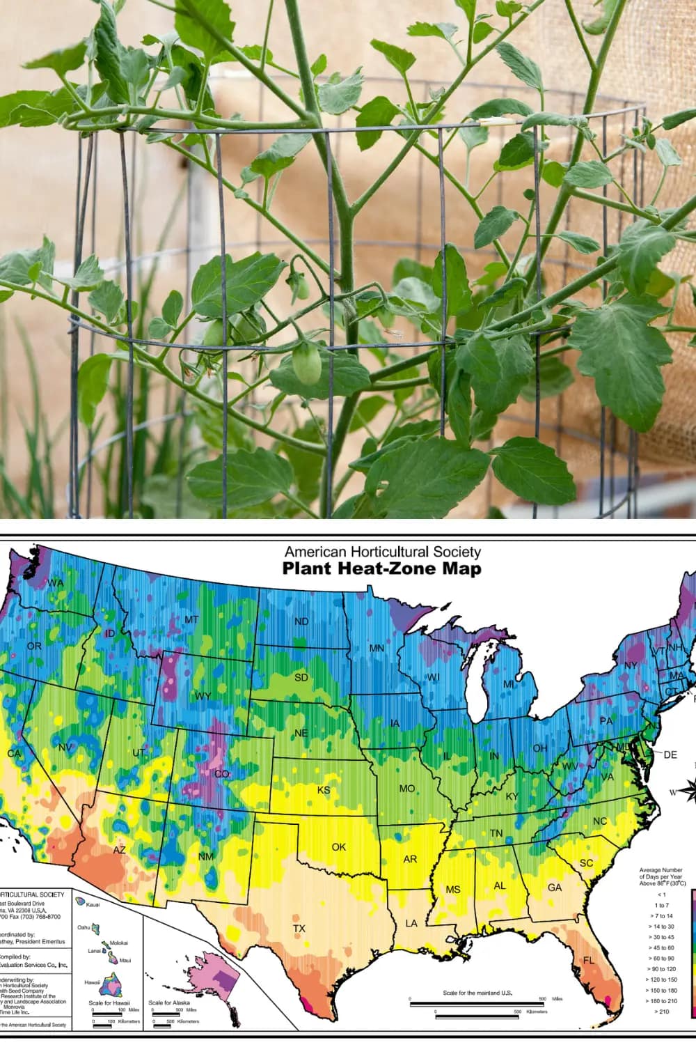 Quick Guide to Planting Zone 1 - Cedar Homestead